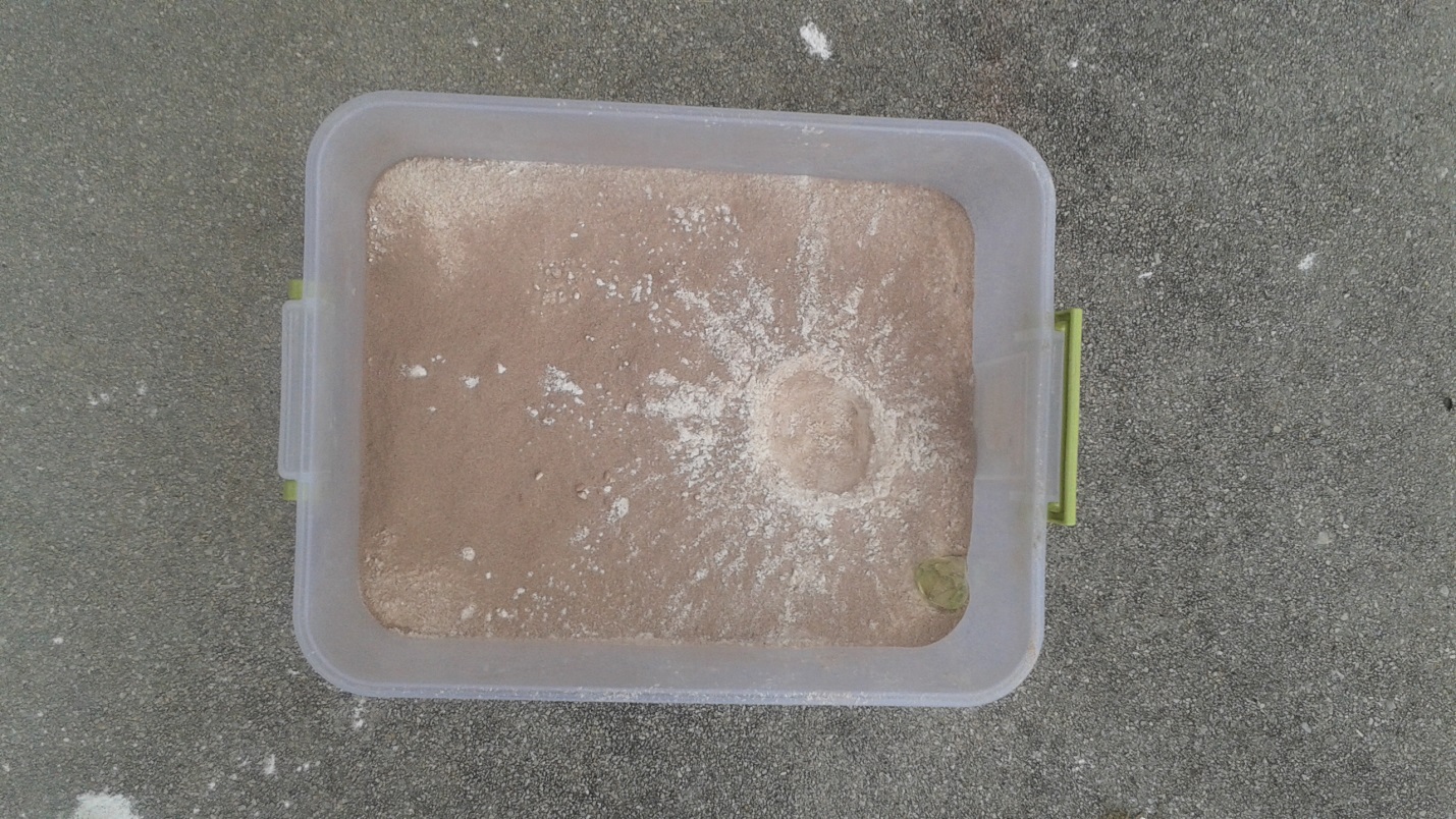 Impact Craters – A STEM Activity | Tennessee Space Grant Consortium